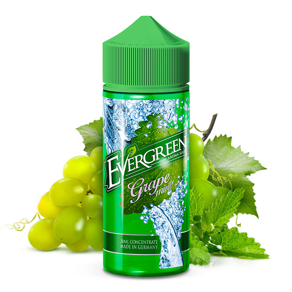 Aroma Evergreen Grape Mint | Steam-Store